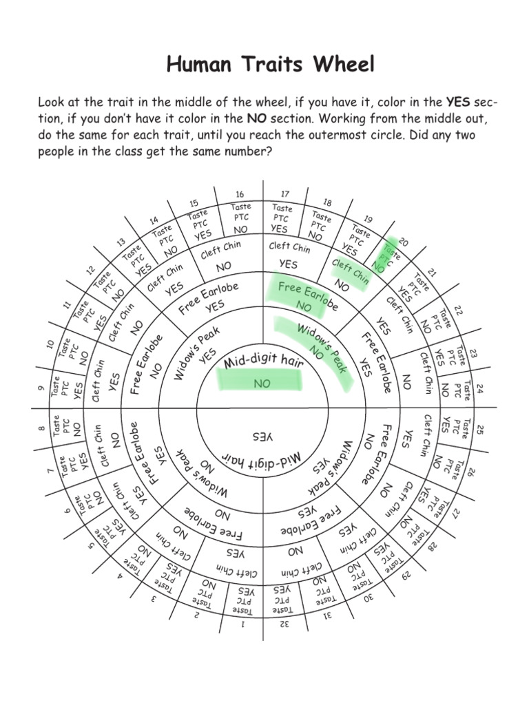 Human Traits Assessment Wheel | PDF
