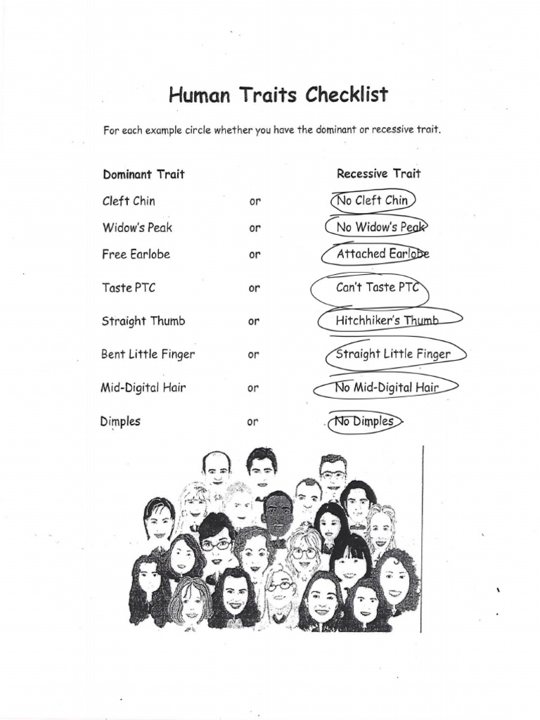 Human Traits Checklist | PDF