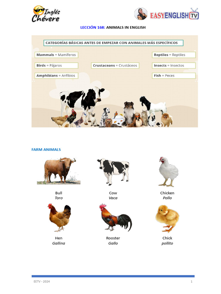 Lección 168 Animals In English Eetv Pdf Zoology Organisms