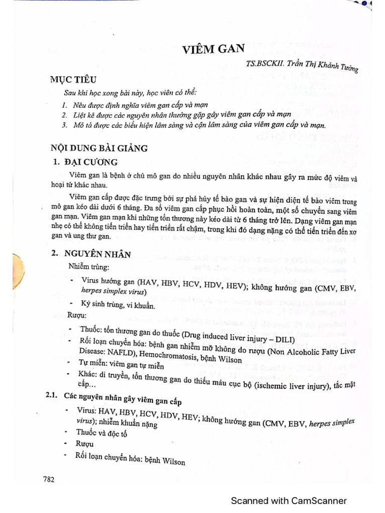 Viêm Gan | PDF
