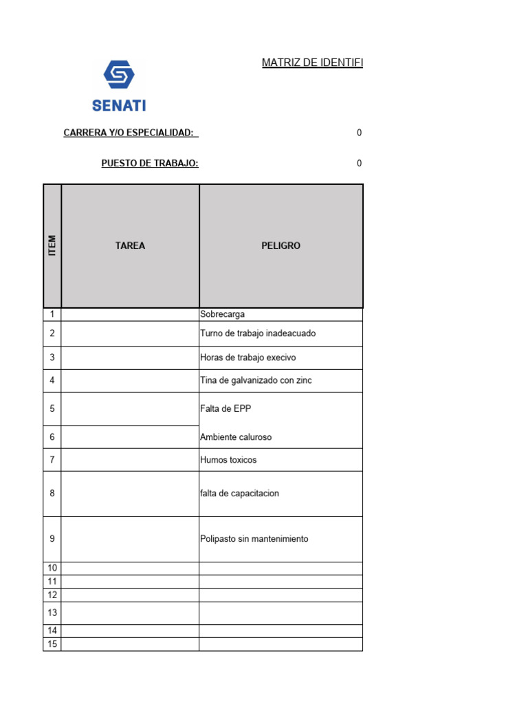 Iperc Gavalnizado Danitza | PDF