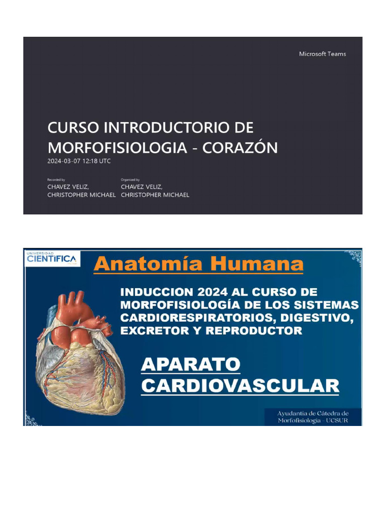 Anatomía - Corazón | PDF
