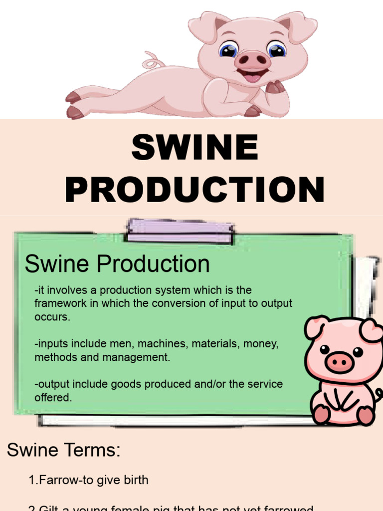 Swine Production | PDF | Cooking, Food & Wine | Technology & Engineering