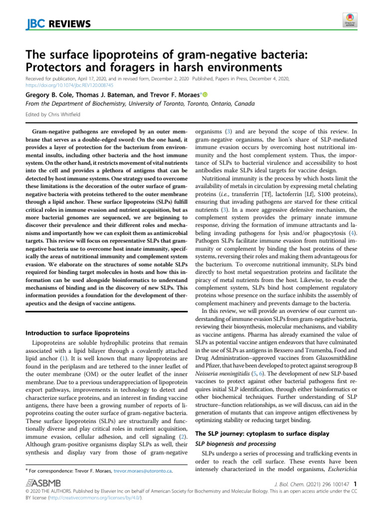 Cole et al 2021. The surface lipoproteins of gram-negative bacteria_Protectors and foragers in ...