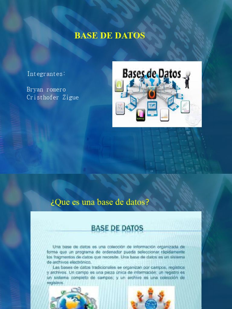 Bases de Datos - Programación | PDF | Bases de datos | Mi sql