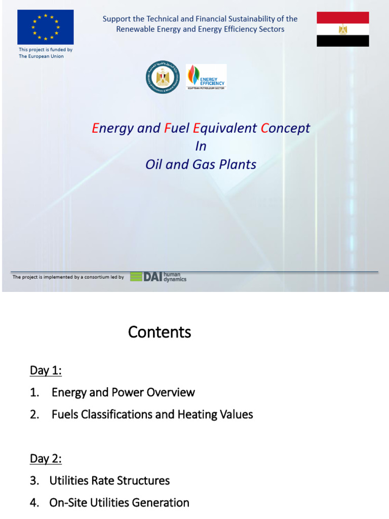 2 Energy & Fuel Equivalent Concept - Final - V2-July | PDF | Renewable Energy | Electricity ...