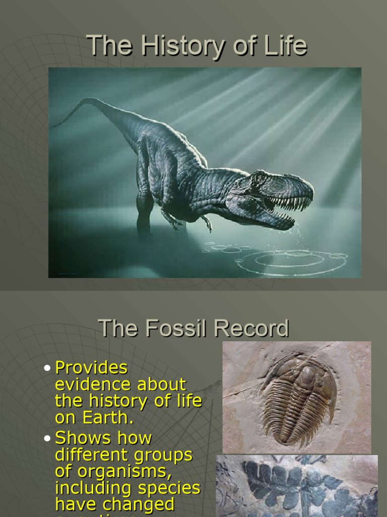 The History of Life | PDF | Eukaryotes | Life