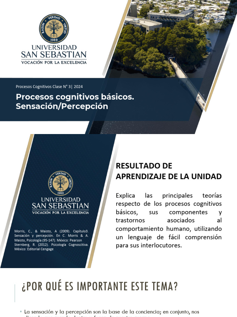 Unidad #2 CLASE 3 Sensación y Percepción | PDF | Percepción visual | Sentidos