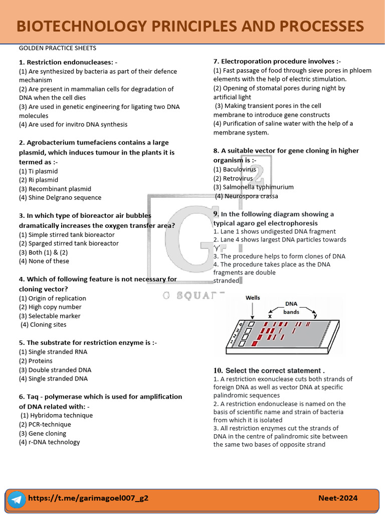 Golden DPP of Biotechnology Principles and Processes by Garima Mam | PDF | Restriction Enzyme ...