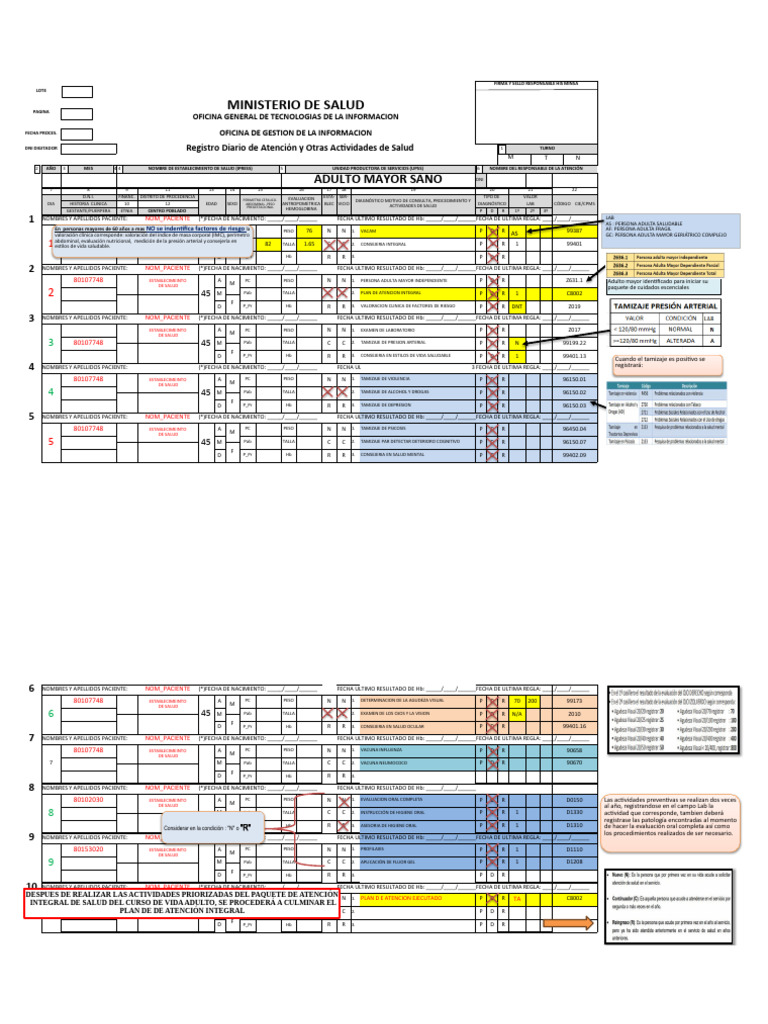 REGISTRO HIS ADULTO MAYOR ACTUALIZADO 2024 | PDF | Medicina | Cuidado de la salud