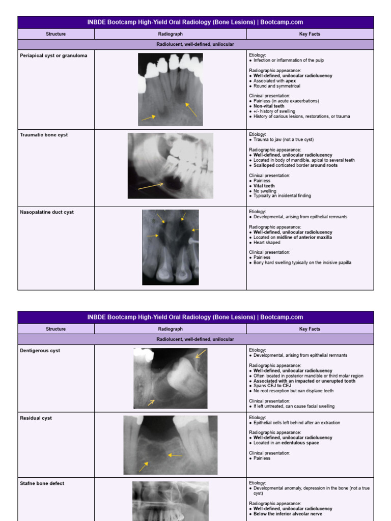 Radiología | PDF | Dental Anatomy | Tooth