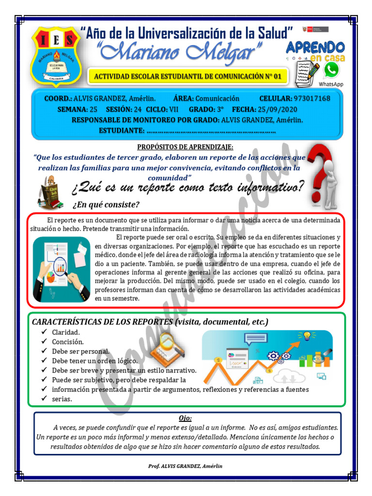 Guía para Elaborar un Reporte Informativo | PDF