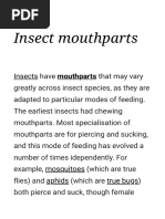 Insect Mouthparts and Their Functions | PDF | Insects | Arthropodology