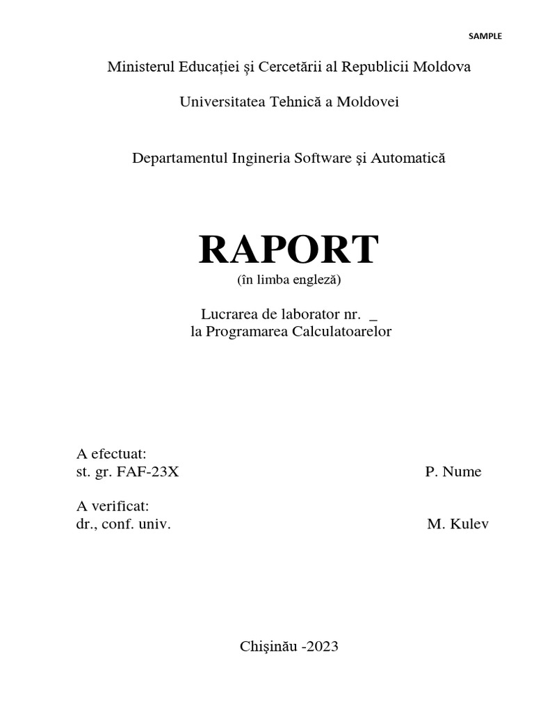 Raport Sample PC | PDF | Parameter (Computer Programming) | Algorithms