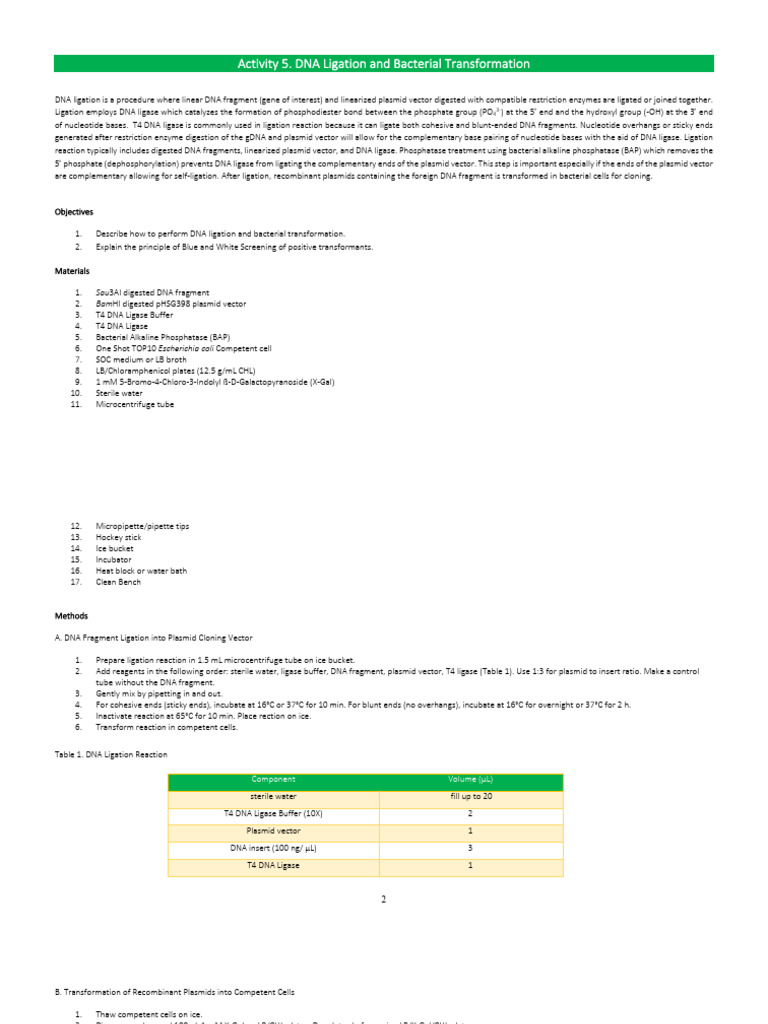 Activity 5. DNA Ligation and Bacterial Transformation | PDF | Dna ...