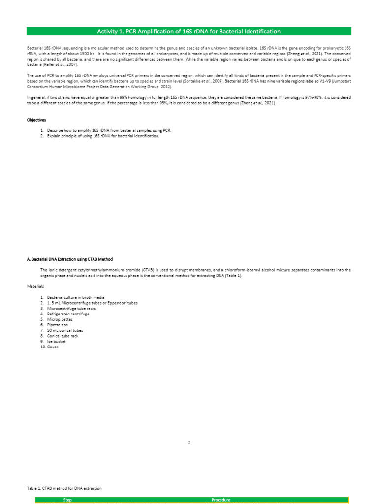 Activity 1 Pcr Amplification Of 16s Rdna For Bacterial Identification Pdf Polymerase Chain