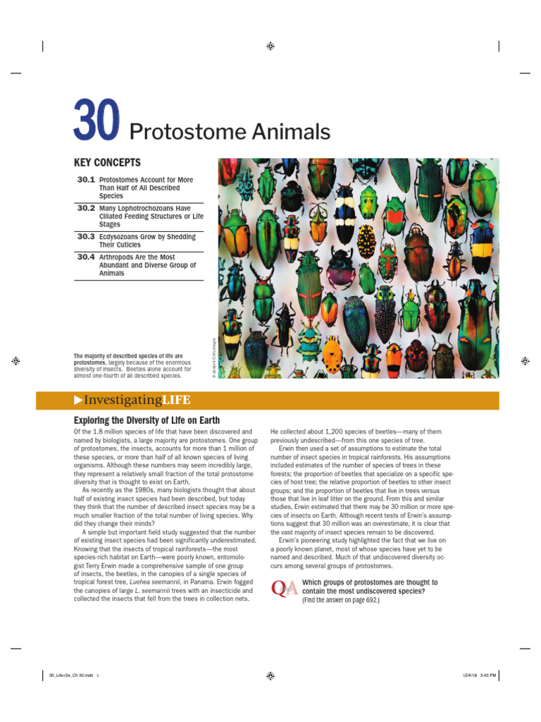 Ch30-Life The Science of Biology 12th Ed 2020 | PDF | Biology