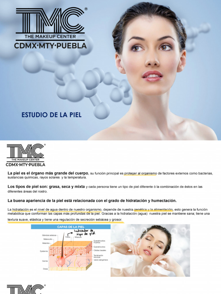 Modulo 1 Sesion 1 2 | PDF