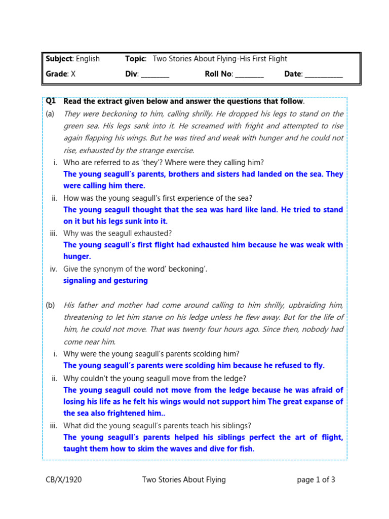 PS - AS - CB - X - Eng - His First Flight | PDF