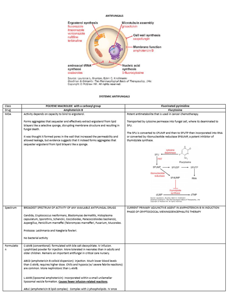 ANTIFUNGALS | PDF | Candidiasis | Clinical Medicine