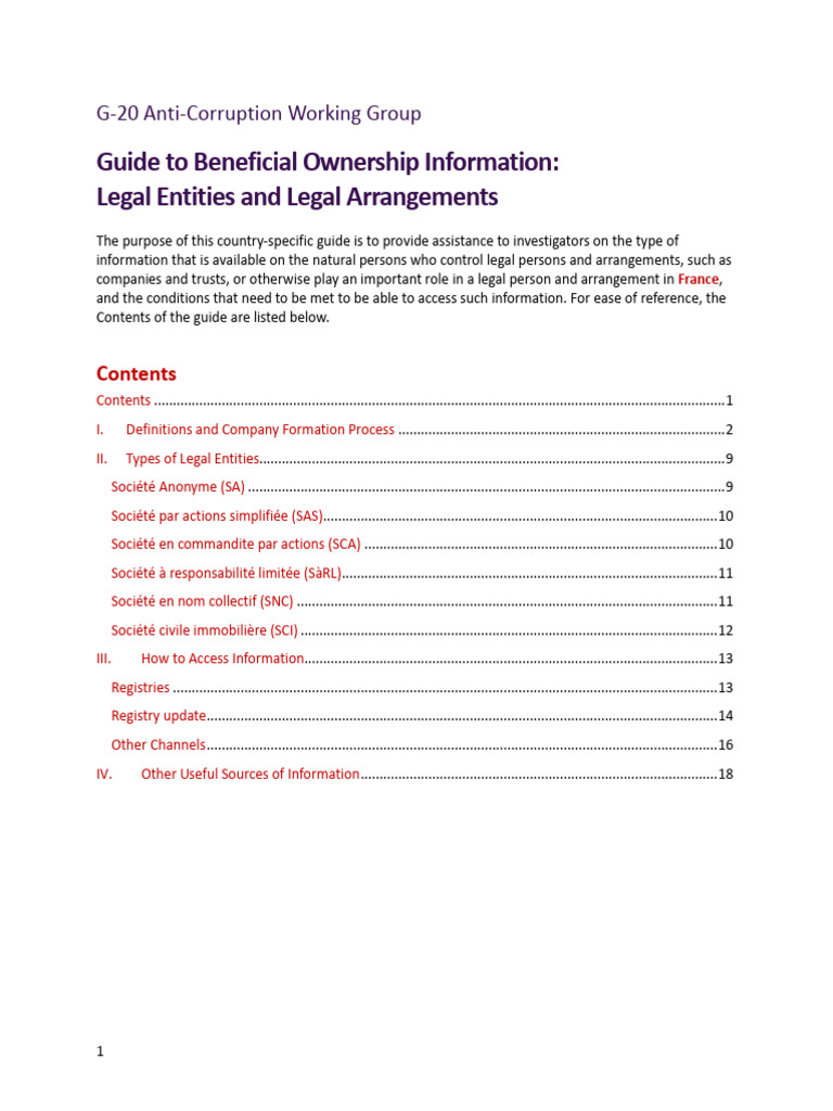 g20 Bo Country Guide France | PDF | Board Of Directors | Shareholders
