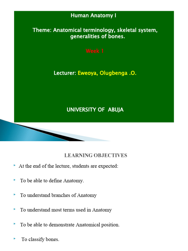 General Introduction To Anatomy Week 2022 | PDF | Anatomical Terms Of ...