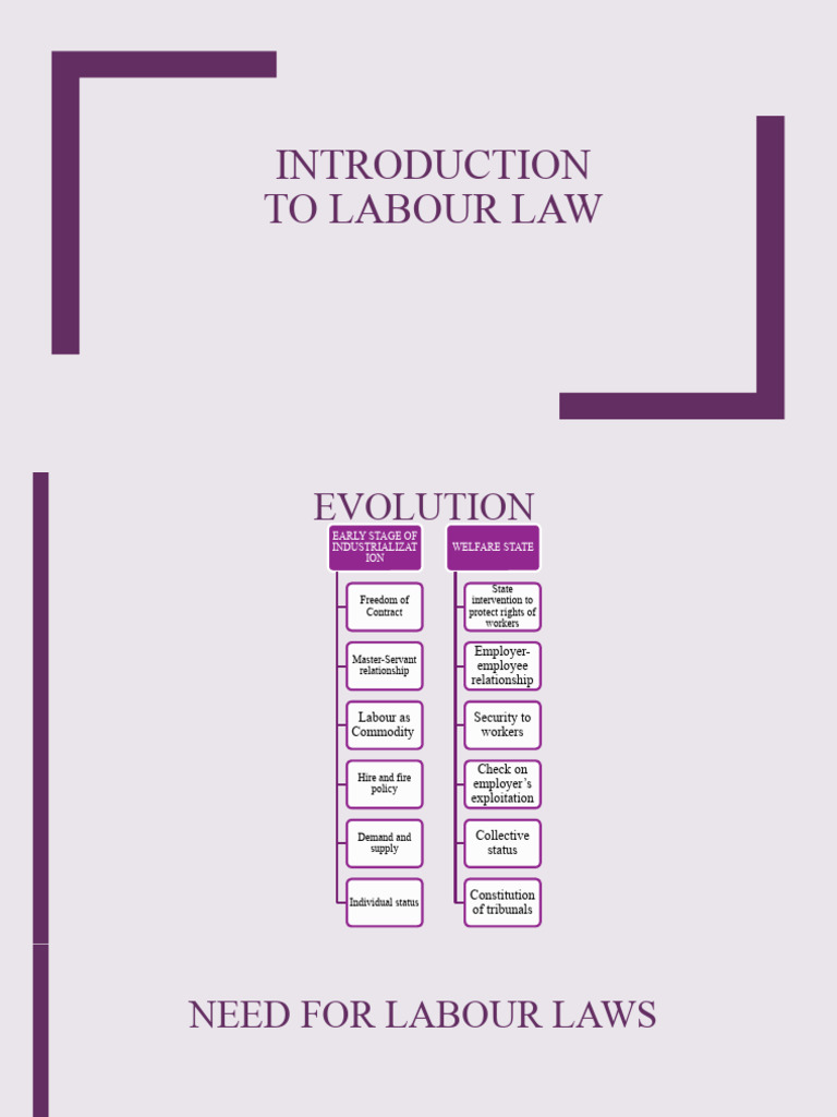 Introduction To Labour Law | PDF | Labour Law | Employment