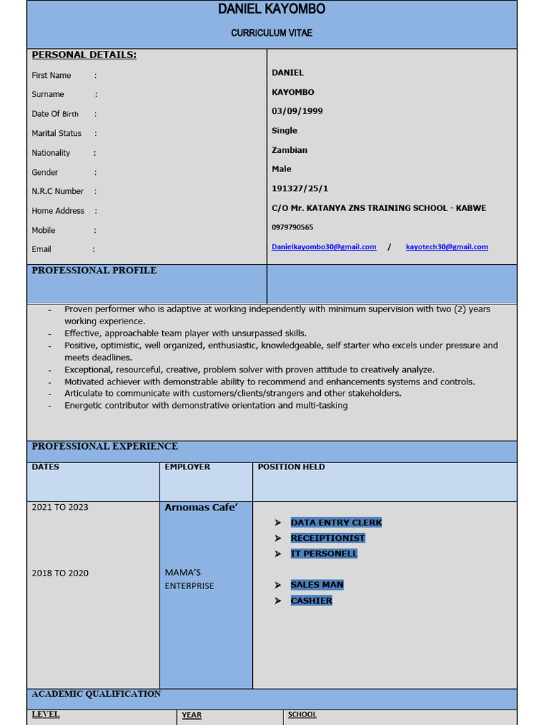 Daniel Kayombo CV and Professional Profile | PDF
