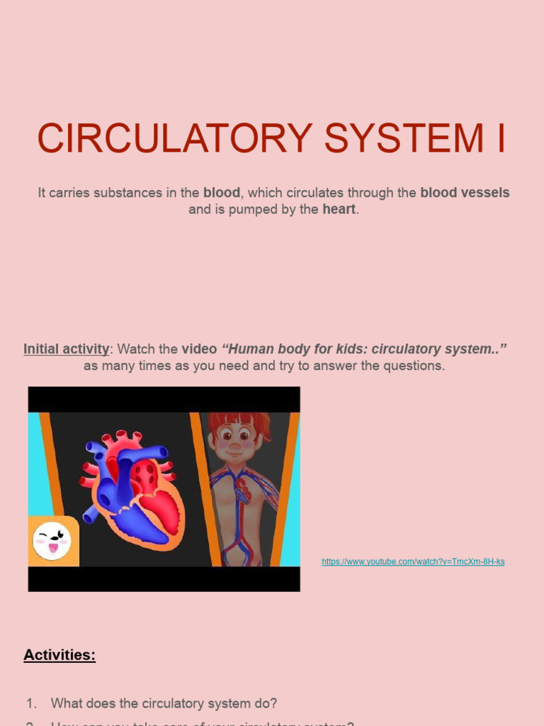 Blood, Heart and Blood Vessels | PDF | Heart Valve | Atrium (Heart)