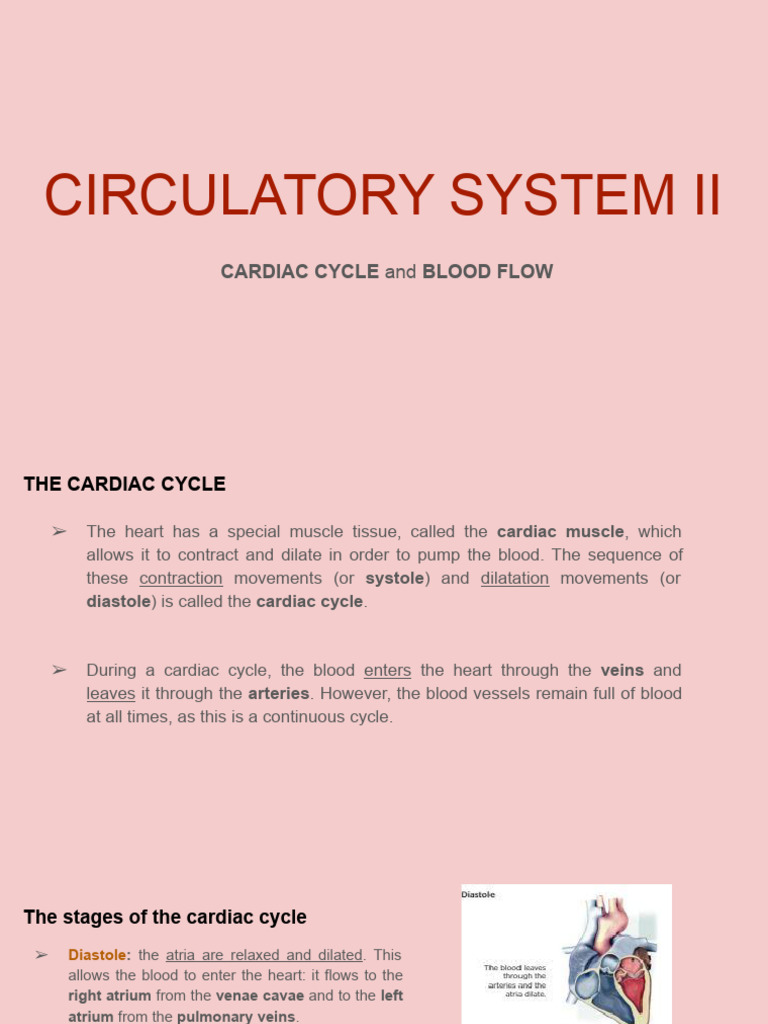 CARDIAC CYCLE and BLOOD FLOW | Download Free PDF | Heart | Atrium (Heart)