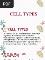 Specialised Animal Cells - Living Organisms - KS3 Biology - BBC ...