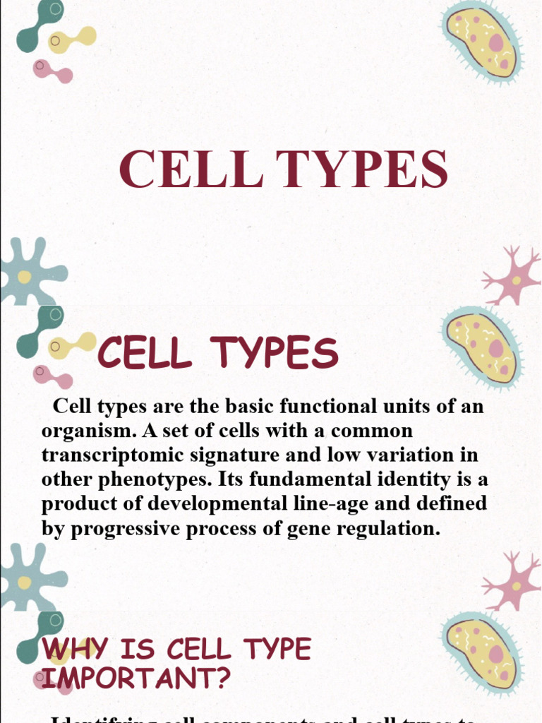 Cell Types Tissues | PDF | Connective Tissue | Tissue (Biology)