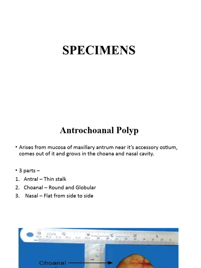 Specimens Pdf