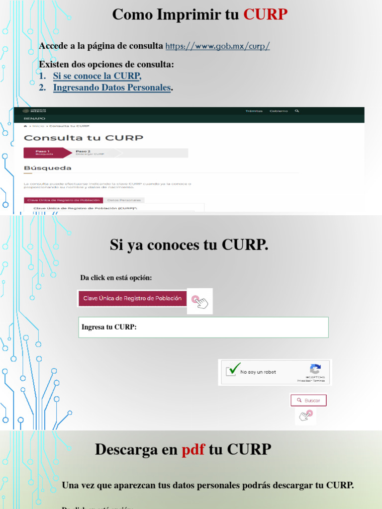 Como Imprimir Tu CURP | PDF