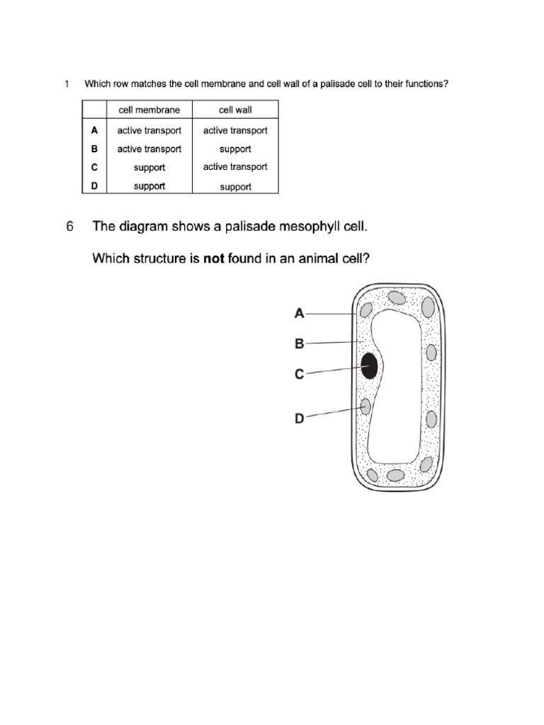 Cells and Microorganisms HW MCQ | PDF