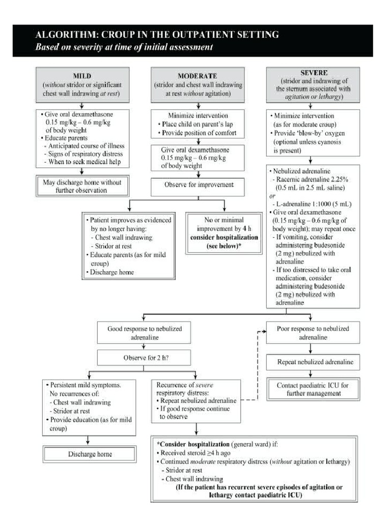 Croup Algorithm | PDF