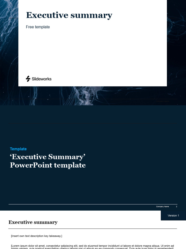 Slideworks Executive Summary Template 28e0b70000 | PDF | Brand | Business Model