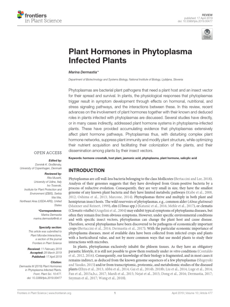 Fpls 10 00477 | PDF | Plant Hormone | Life Sciences