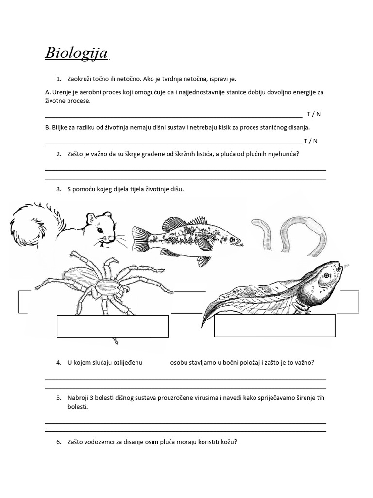 Biologija - Dišni Sustav 7.razred Drugo Polugodište | PDF