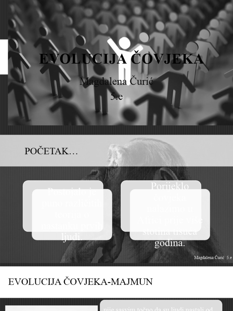 Evolucija Čovjeka | PDF