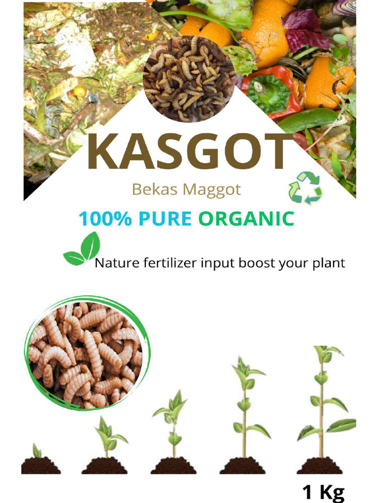 Kasgot Display | PDF
