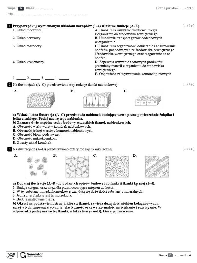 R1-R2. Organizm Człowieka Jako Funkcjonalna Całość. Skóra Test ...