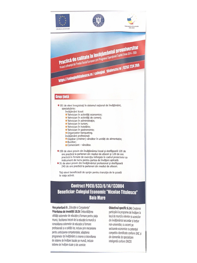 Instrumente Structurale | PDF