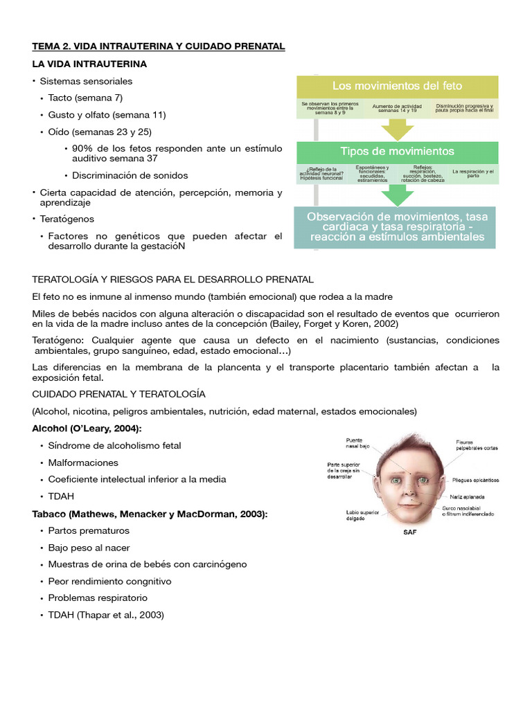 t2.Ps Desarrollo | PDF | Feto | Desorden hiperactivo y deficit de atencion