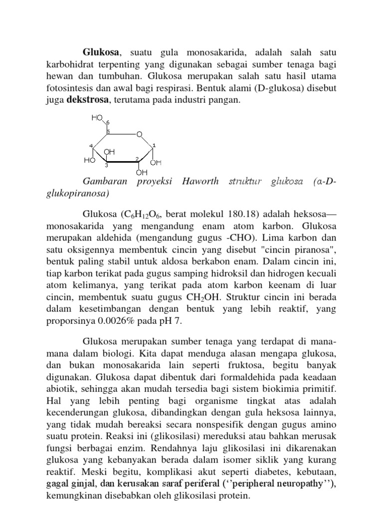 Peran Glukosa dalam Metabolisme Energi | PDF | Griya & Taman