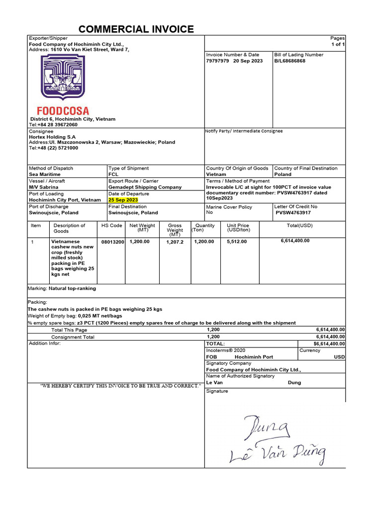 Commercial Invoice | Download Free PDF | Cargo | Supply Chain Management