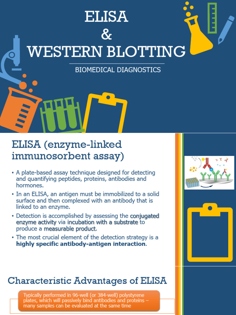 ELISA | PDF | Elisa | Western Blot ELISA | PDF | Elisa | Western Blot