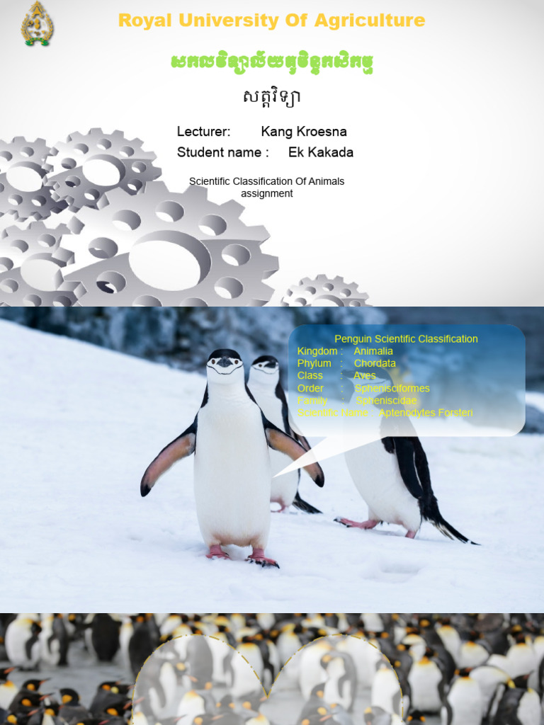 Penguin | PDF