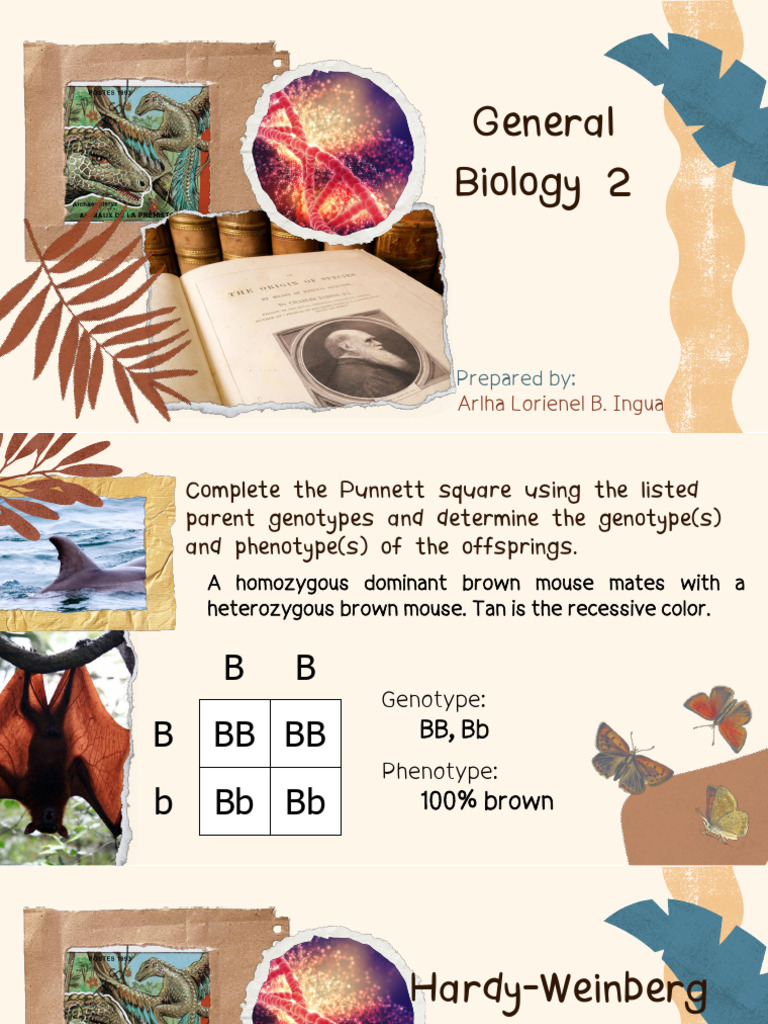 Hardy Weinberg Equilibrium | PDF | Dominance (Genetics) | Genotype