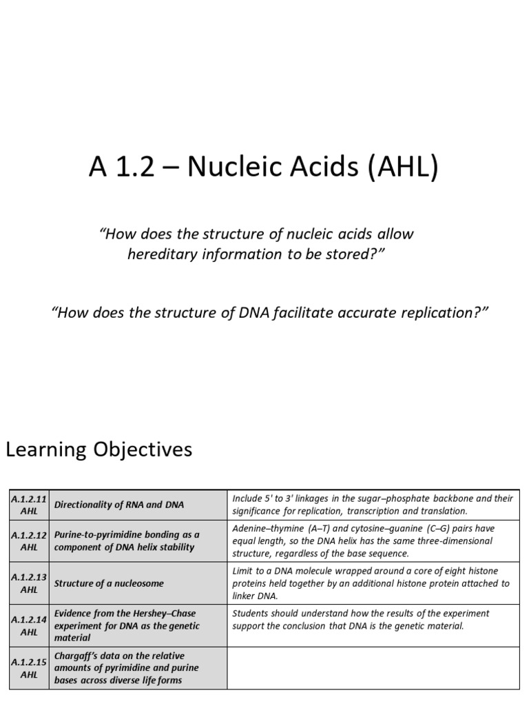 1. A 1.2 HL Nucleic Acids | PDF | Dna | Directionality (Molecular Biology)